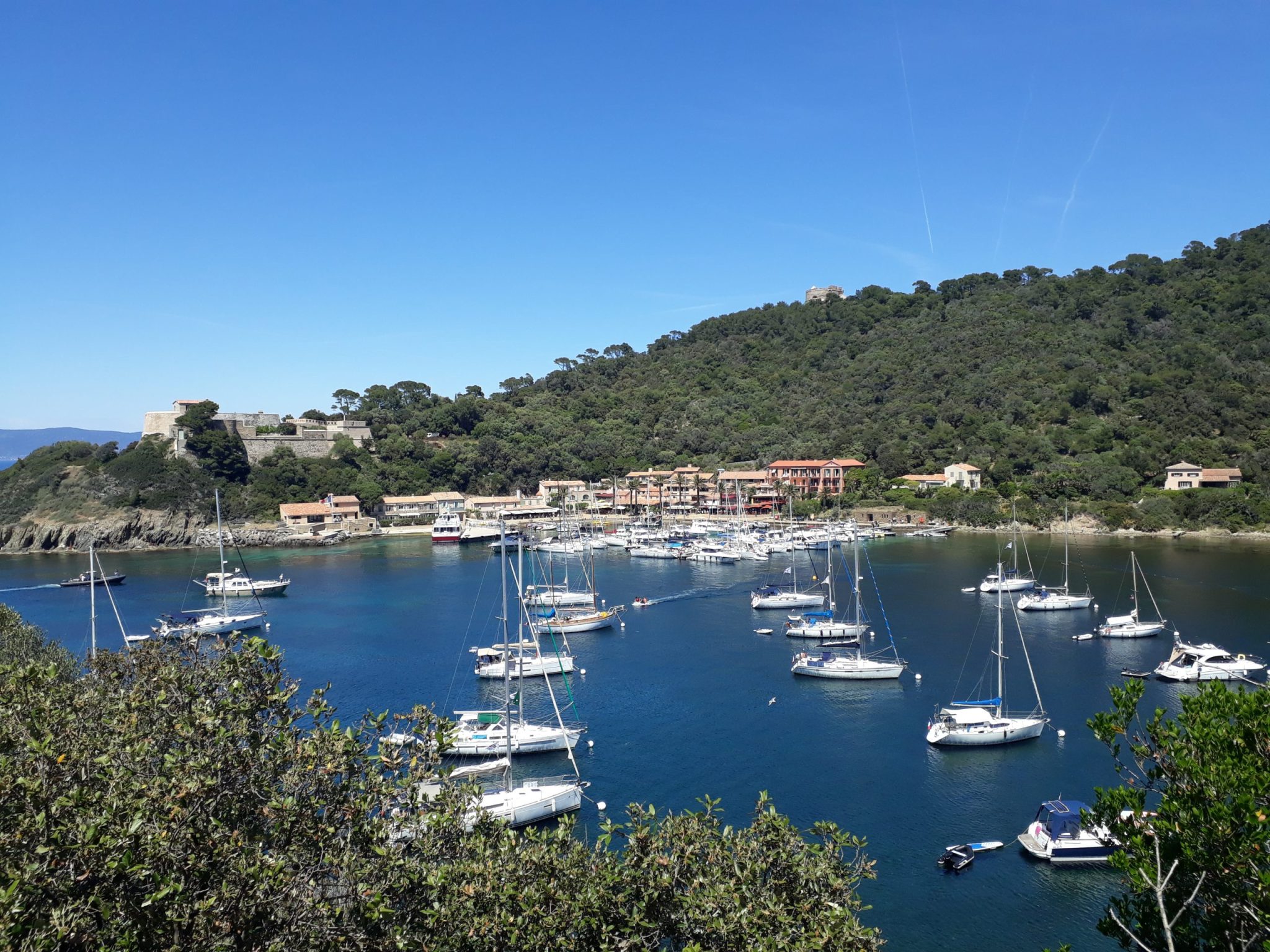 Découvrez Bormes les Mimosas et ses 6 incontournables