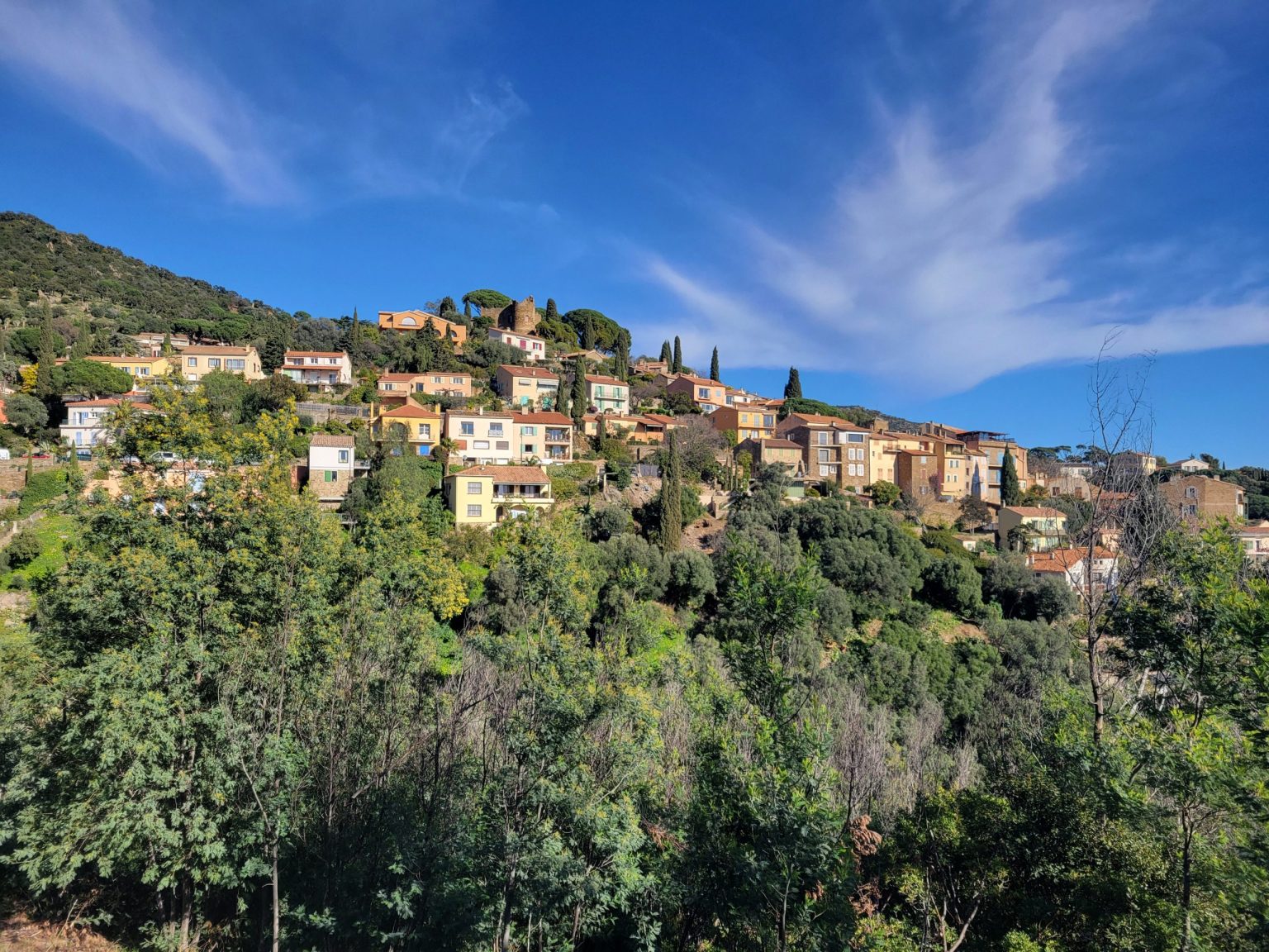 Découvrez Bormes les Mimosas et ses 6 incontournables